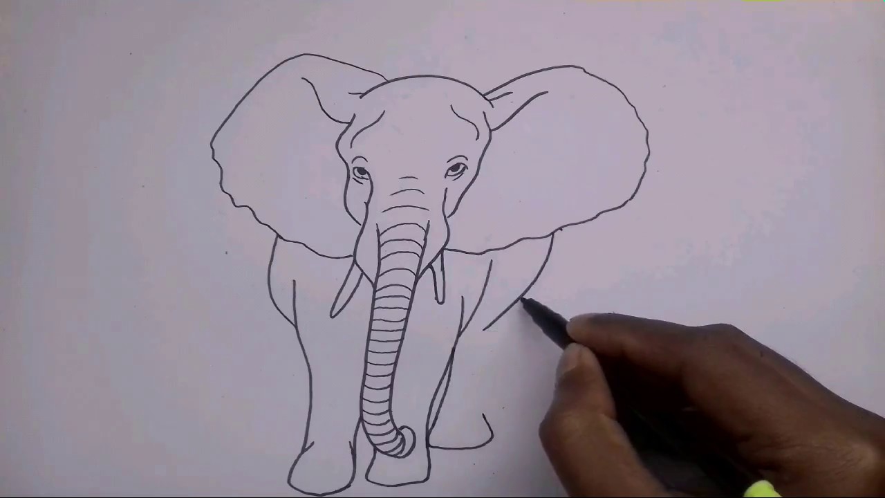 Youtube Elephant Drawing at PaintingValley.com | Explore collection of ...