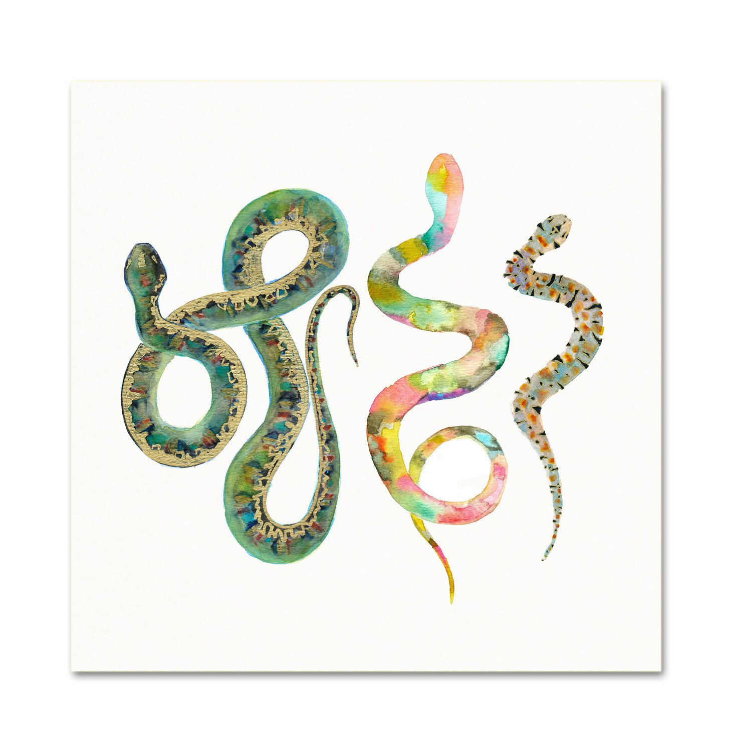 Snake Watercolor at PaintingValley.com | Explore collection of Snake ...