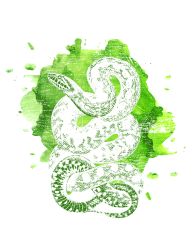 Snake Watercolor at PaintingValley.com | Explore collection of Snake ...