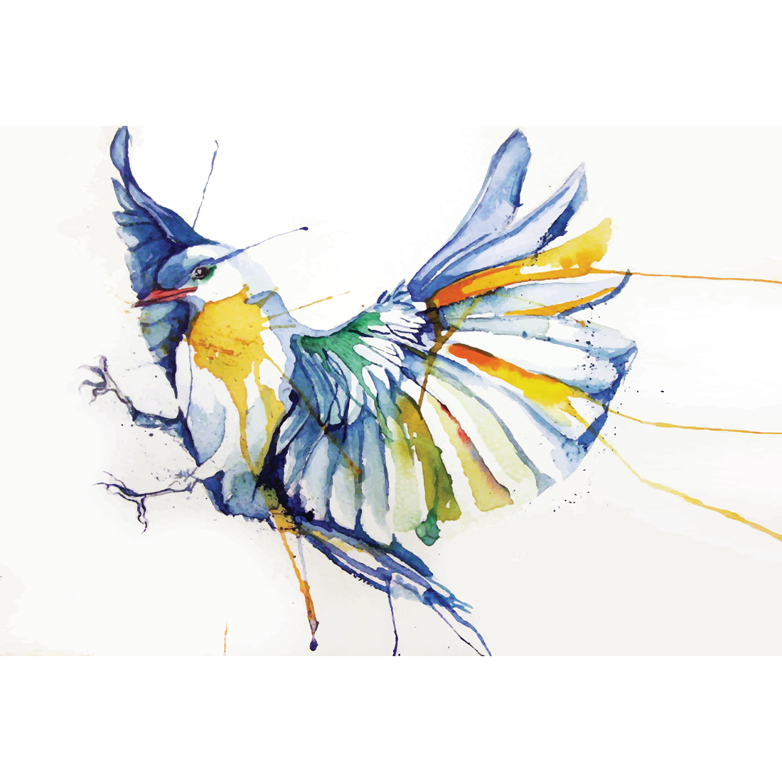 Watercolor Bird at PaintingValley.com | Explore collection of ...