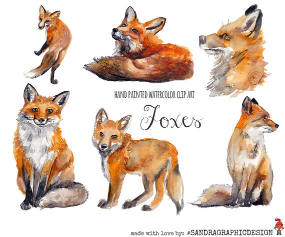 Watercolor Forest Animals at PaintingValley.com | Explore collection of ...