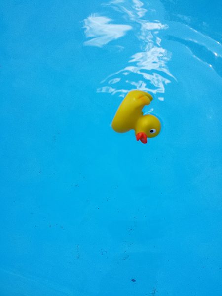 Rubber Duck Painting at PaintingValley.com | Explore collection of ...