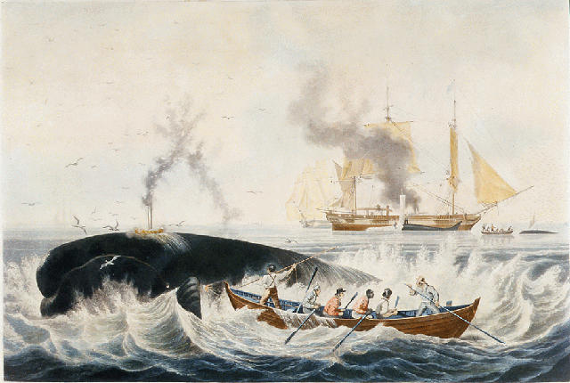Whale Hunting Painting at PaintingValley.com | Explore collection of ...