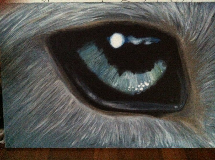 Wolf Eyes Painting at PaintingValley.com | Explore collection of Wolf ...
