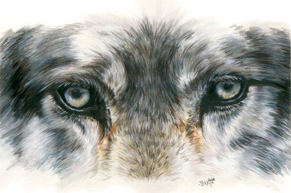 Wolf Eyes Painting at PaintingValley.com | Explore collection of Wolf ...