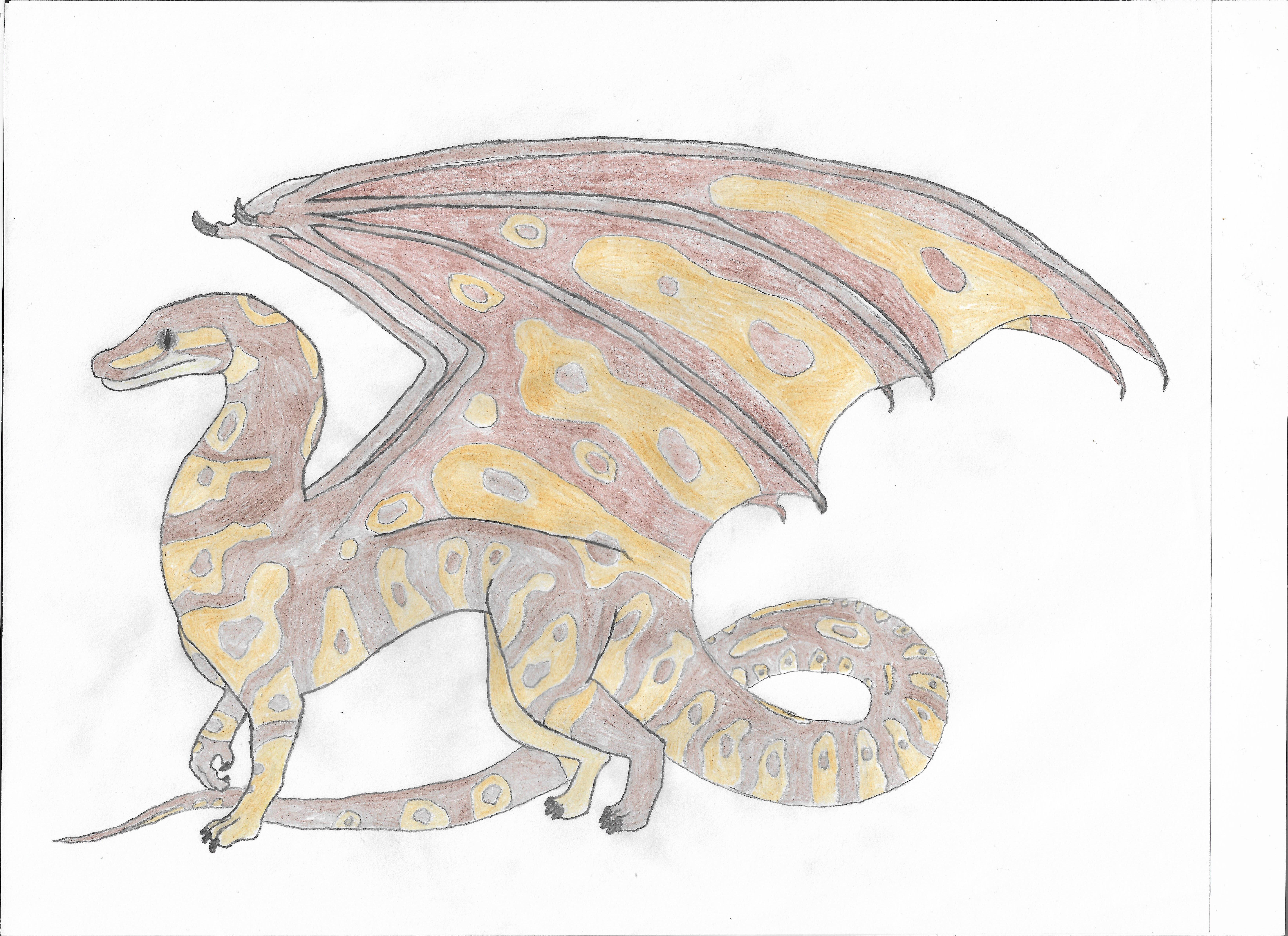 Ball Python Sketch at PaintingValley.com | Explore collection of Ball ...