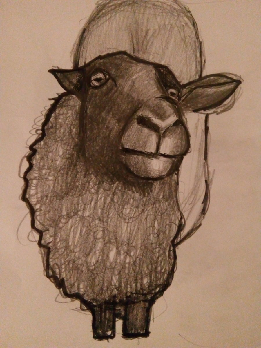 Black Sheep Sketch at PaintingValley.com | Explore collection of Black ...