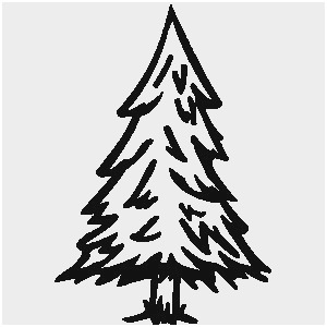 Evergreen Tree Sketch at PaintingValley.com | Explore collection of ...