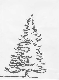 Evergreen Tree Sketch at PaintingValley.com | Explore collection of ...