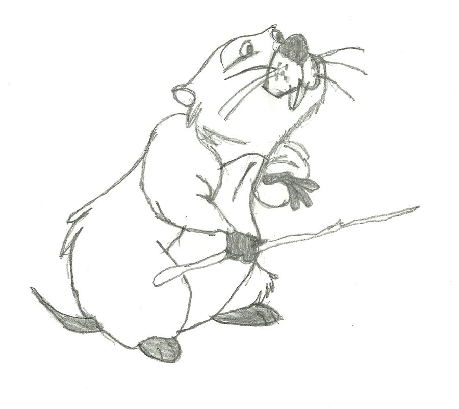 Gopher Sketch At Explore Collection Of Gopher Sketch