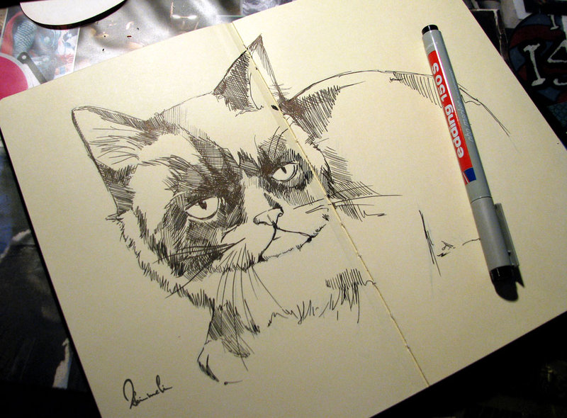 Grumpy Cat Sketch at PaintingValley.com | Explore collection of Grumpy ...