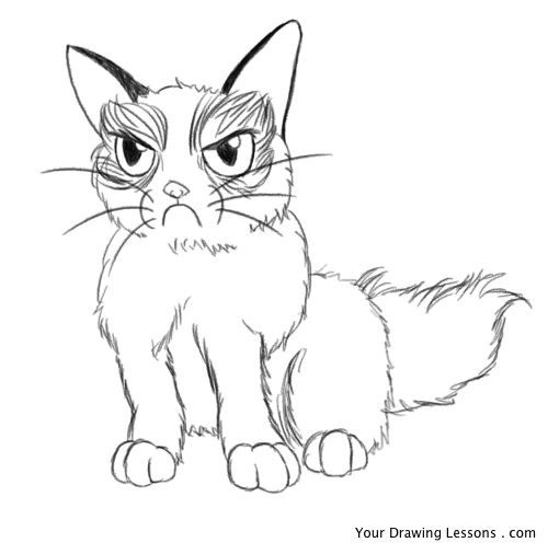 Grumpy Cat Sketch at PaintingValley.com | Explore collection of Grumpy ...