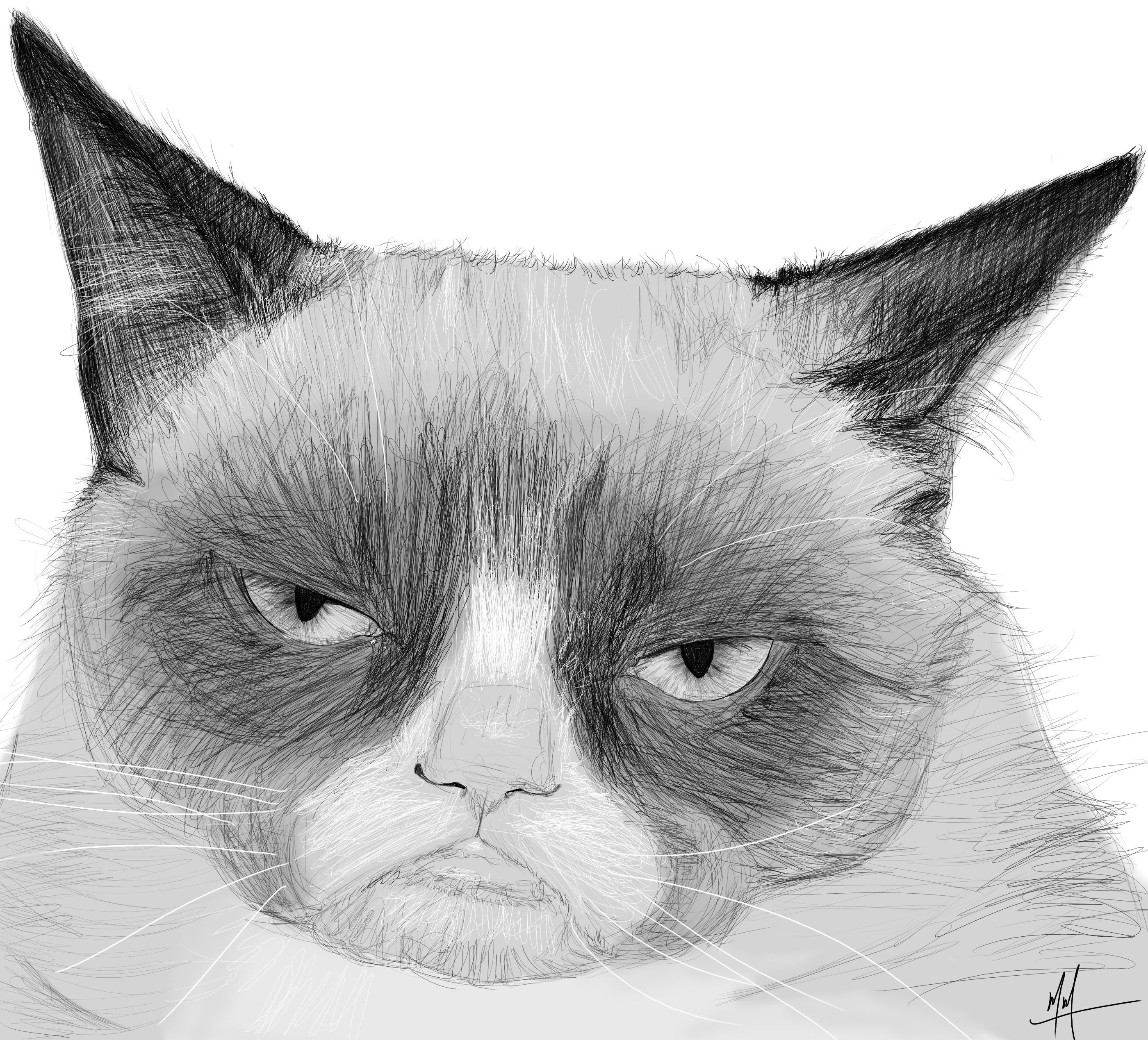 Grumpy Cat Sketch at PaintingValley.com | Explore collection of Grumpy ...