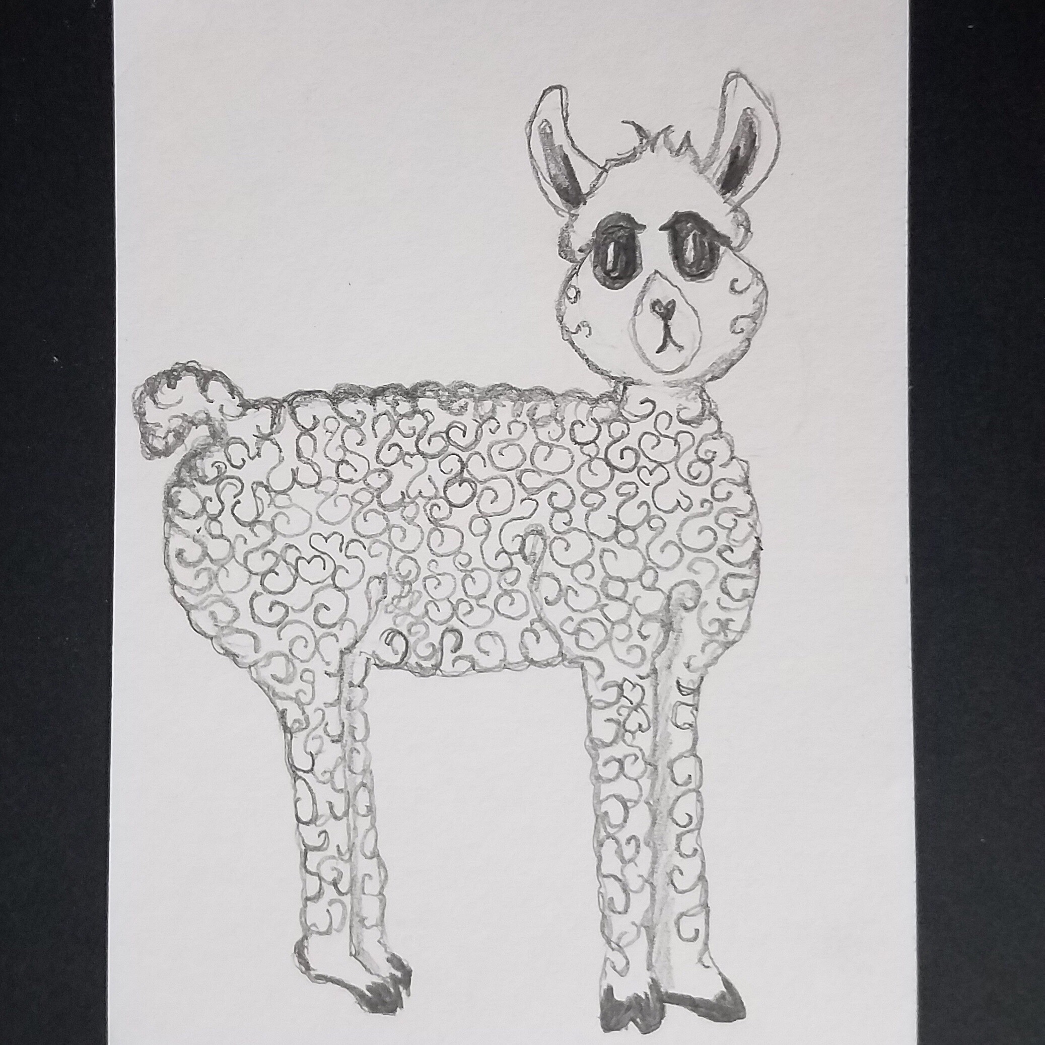 Llama Sketch at PaintingValley.com | Explore collection of Llama Sketch