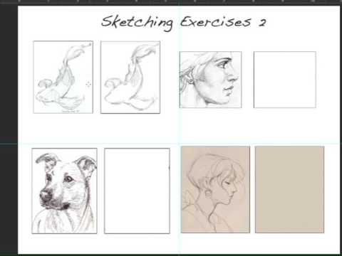 Sketching Exercises For Beginners at PaintingValley.com | Explore ...