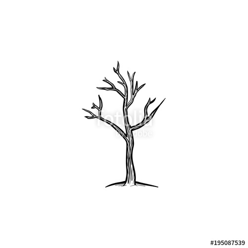 Tree Outline Sketch at PaintingValley.com | Explore collection of Tree ...