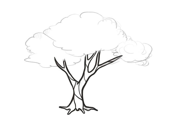 Tree Outline Sketch at PaintingValley.com | Explore collection of Tree ...