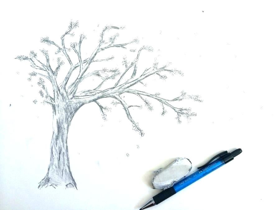 Tree Outline Sketch at PaintingValley.com | Explore collection of Tree ...