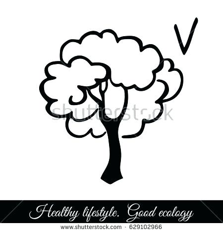 Tree Outline Sketch at PaintingValley.com | Explore collection of Tree ...