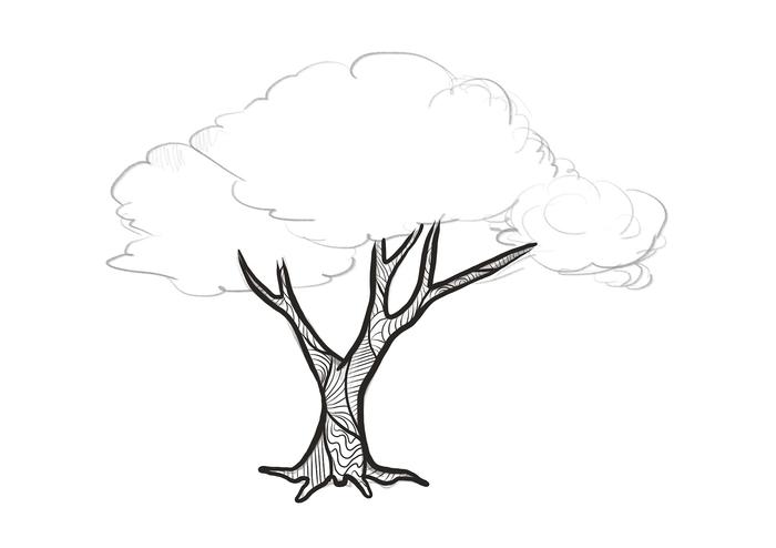 Tree Sketch Art at PaintingValley.com | Explore collection of Tree ...
