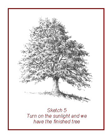 Tree Sketch Art at PaintingValley.com | Explore collection of Tree ...