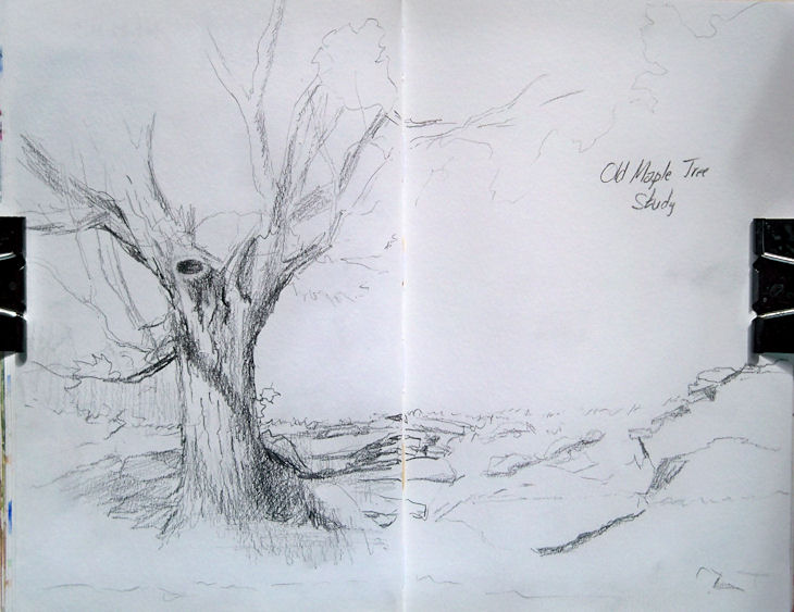 Tree Trunk Sketch at PaintingValley.com | Explore collection of Tree ...