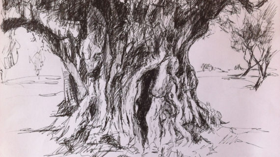 Tree Trunk Sketch at PaintingValley.com | Explore collection of Tree ...