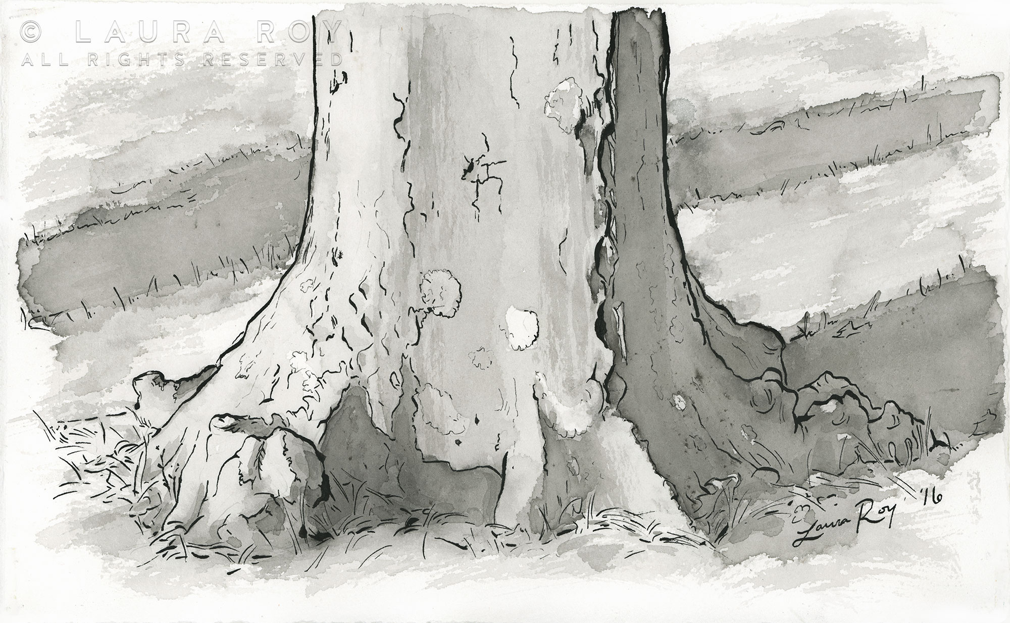 Tree Trunk Sketch at PaintingValley.com | Explore collection of Tree ...