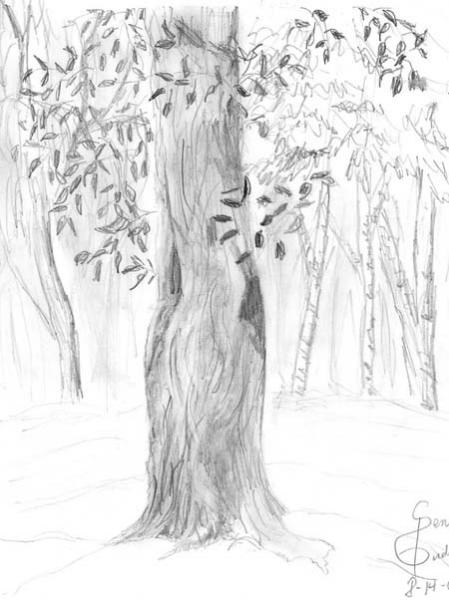 Tree Trunk Sketch at PaintingValley.com | Explore collection of Tree ...