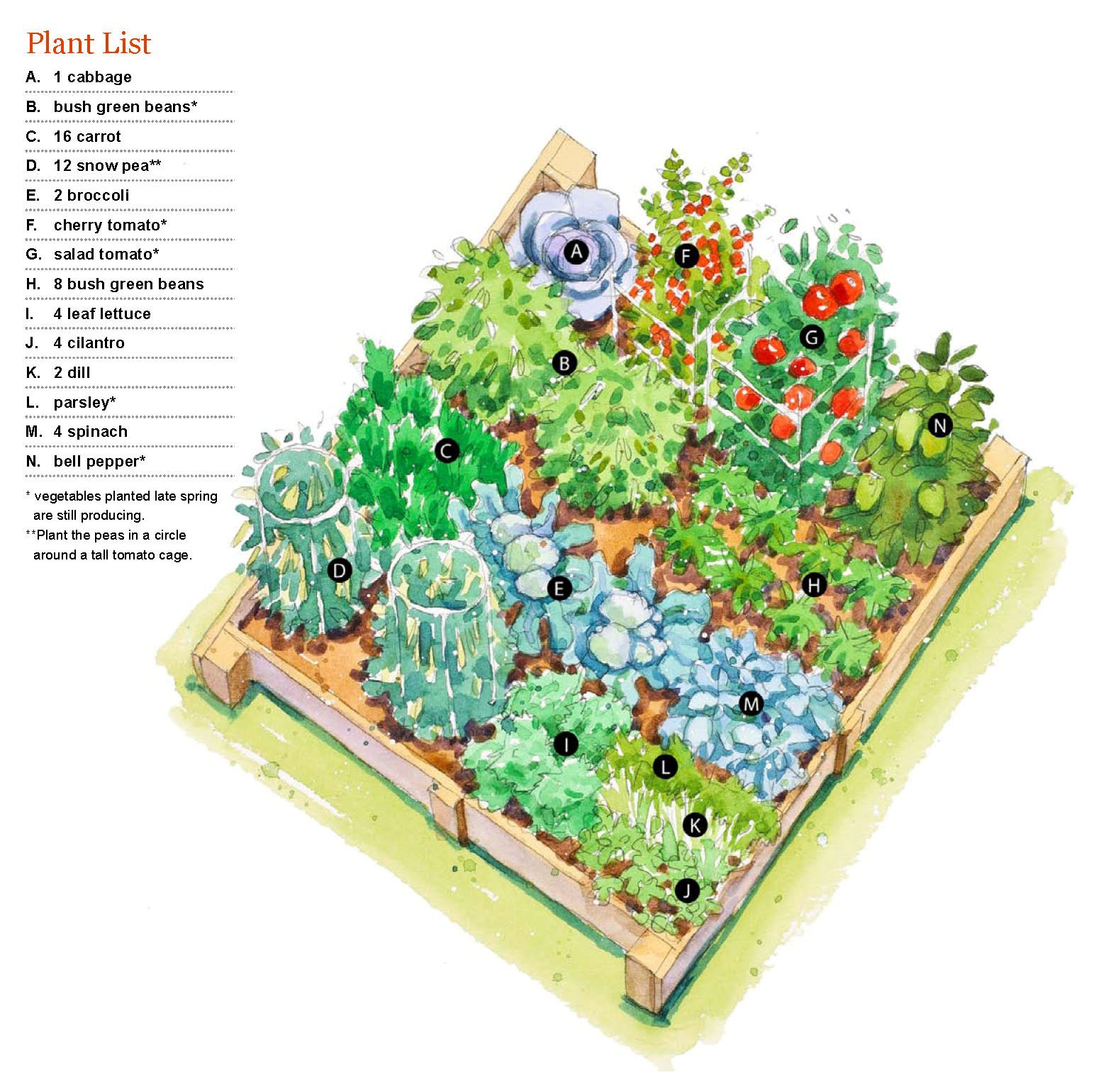Vegetable Garden Sketch At PaintingValley Explore Collection Of Vegetable Garden Sketch At PaintingValley Explore Collection Of